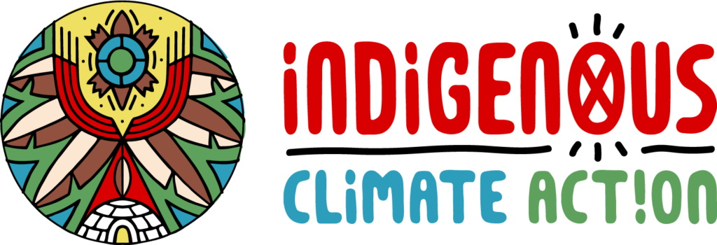 Diversify Your Feed: 6 Indigenous Environmental Organizations You ...