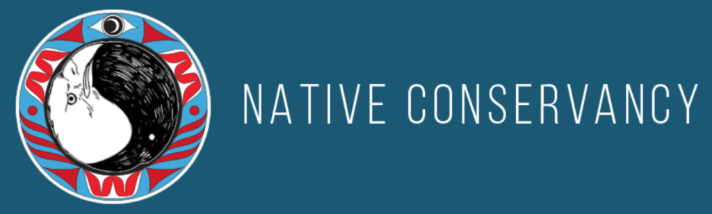 Diversify Your Feed: 6 Indigenous Environmental Organizations You ...