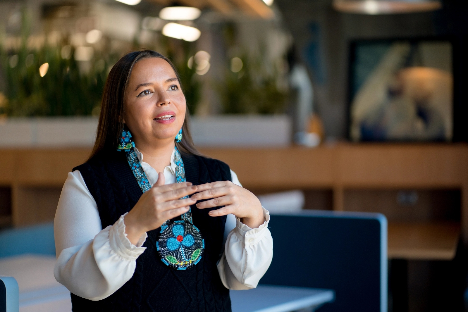 Learn About Native Americans in Philanthropy Mission